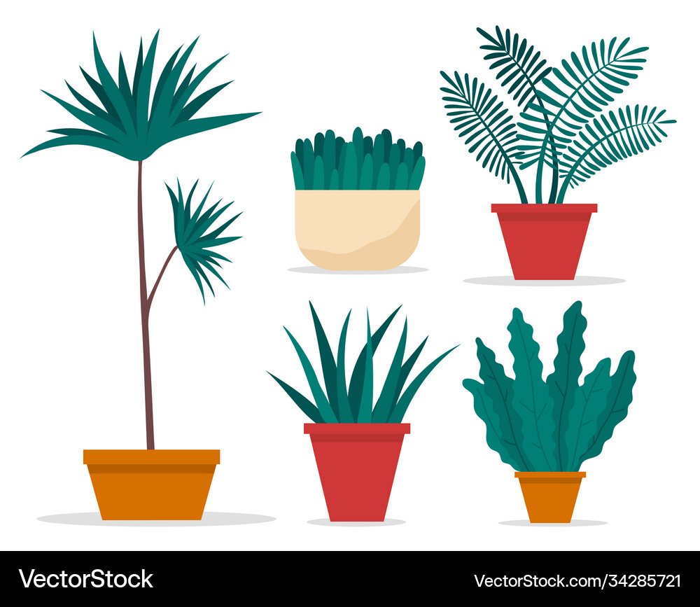 Decorative set green plant with long leaves Vector Image