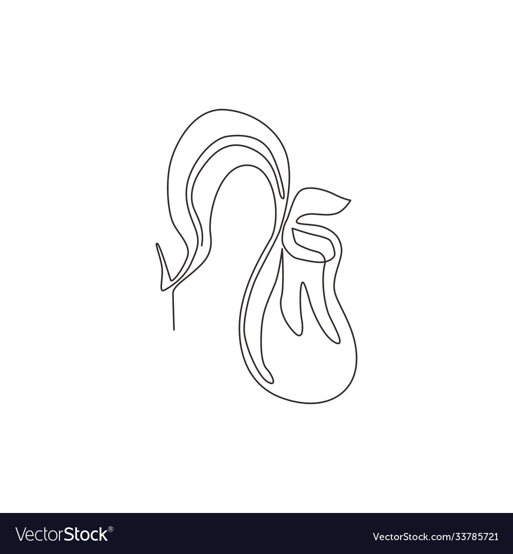 One continuous line drawing beauty fresh Vector Image