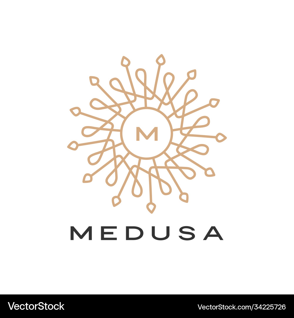 Medusa mandala logo icon Royalty Free Vector Image