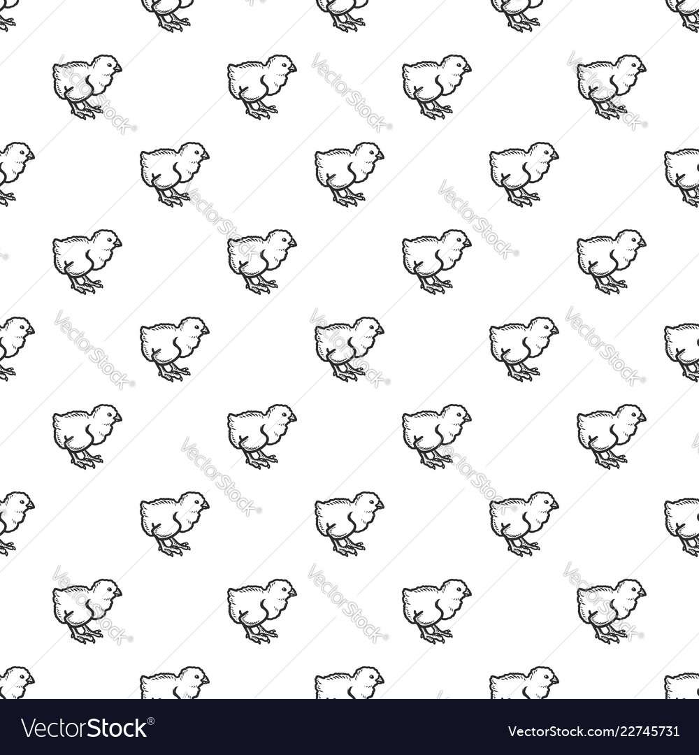 Chick pattern seamless Royalty Free Vector Image
