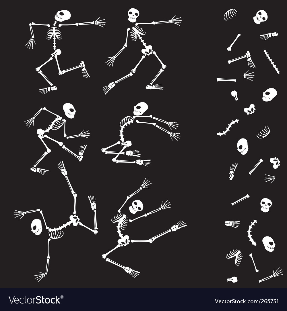 Skeleton design elements Royalty Free Vector Image