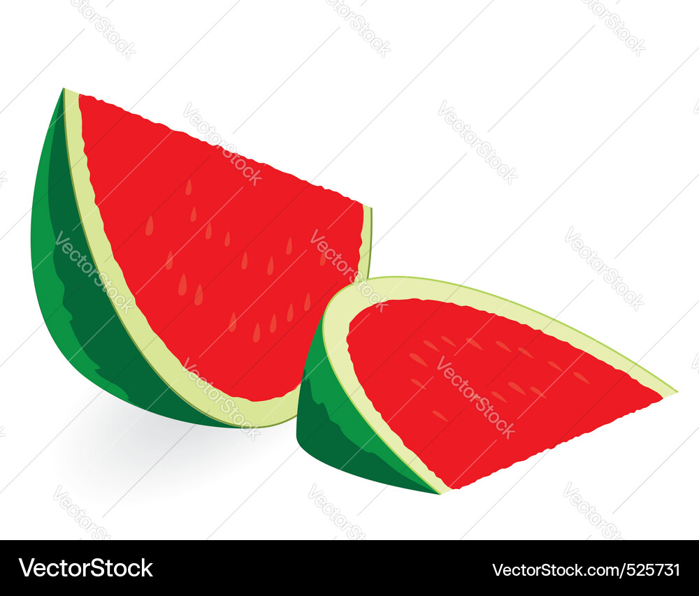 Watermelon Royalty Free Vector Image - VectorStock