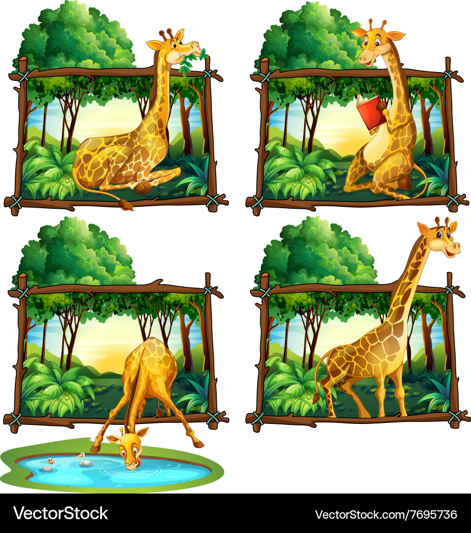 Four frames giraffes in jungle Royalty Free Vector Image