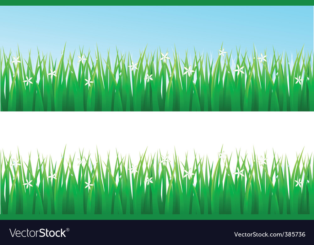 Grass background Royalty Free Vector Image - VectorStock