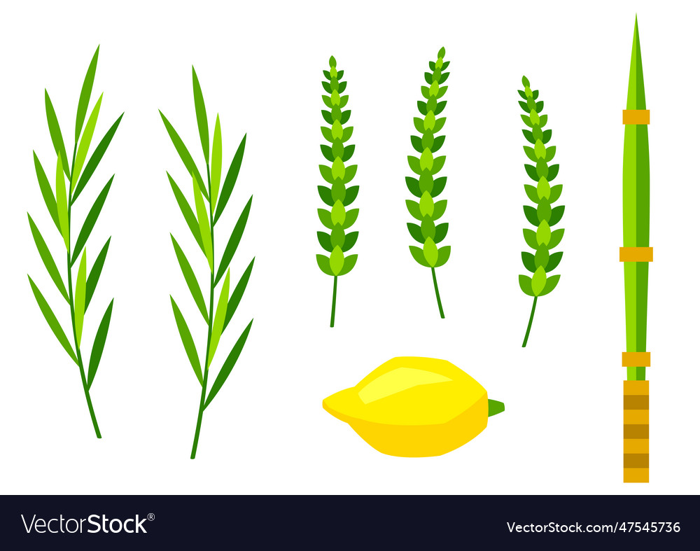 Happy sukkot symbols four species etrog lulav Vector Image