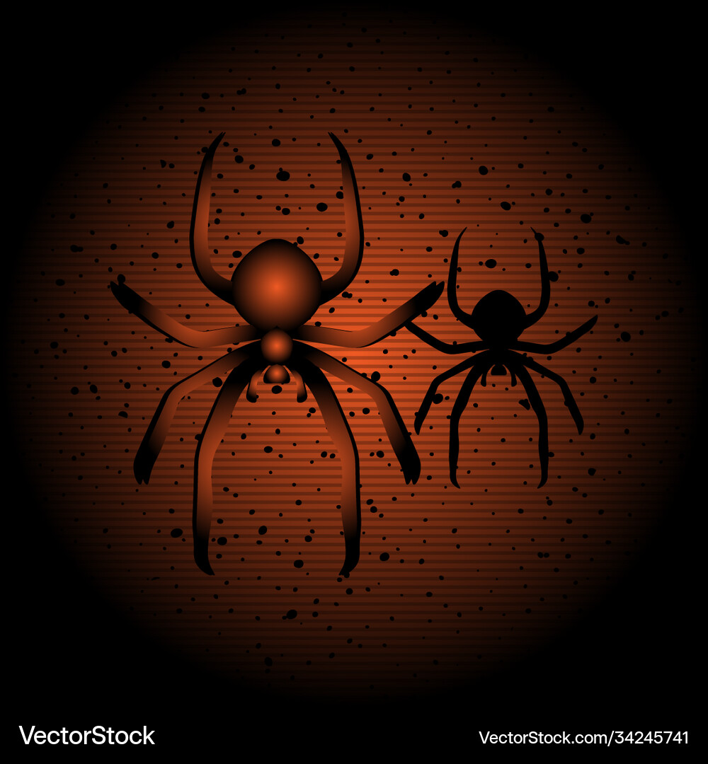 Hanging spider on black and orange background Vector Image