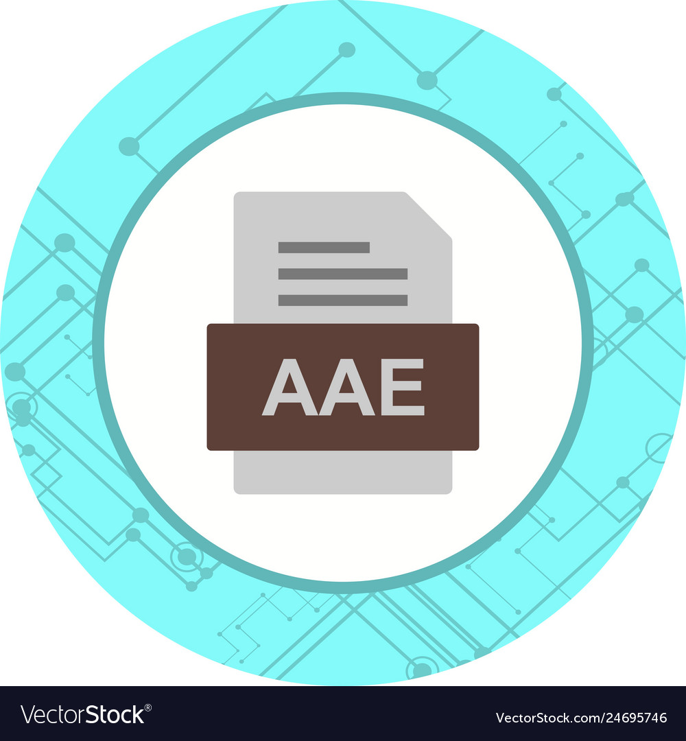 Aae file document icon Royalty Free Vector Image