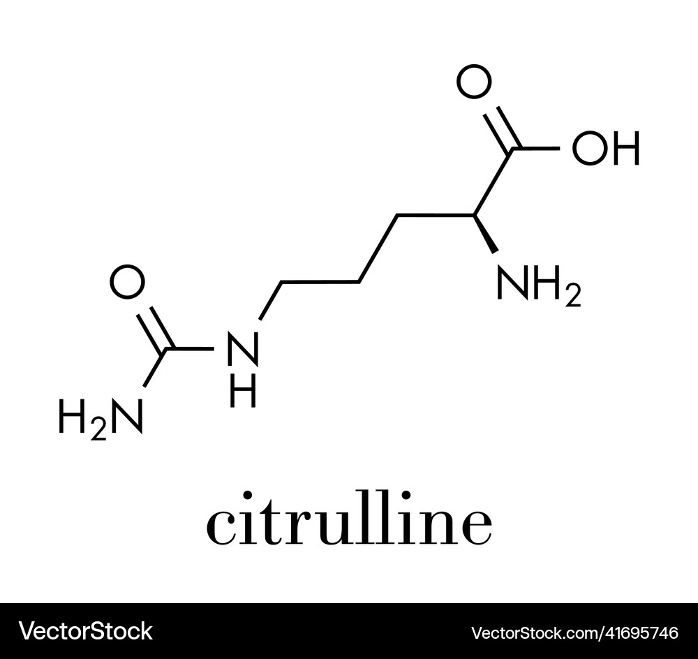 Citrulline amino acid molecule present in some Vector Image