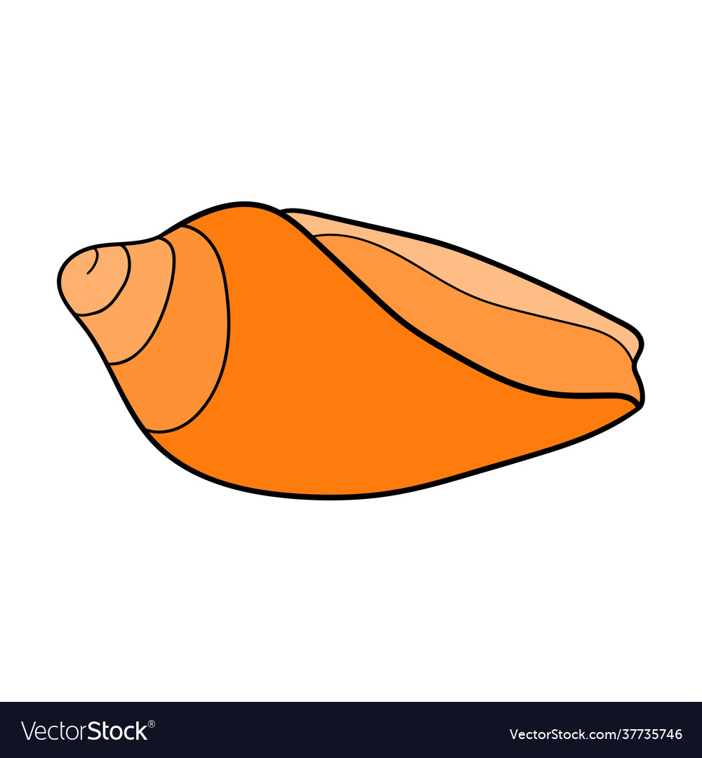 Hand-drawn cone shell engraved line design Vector Image