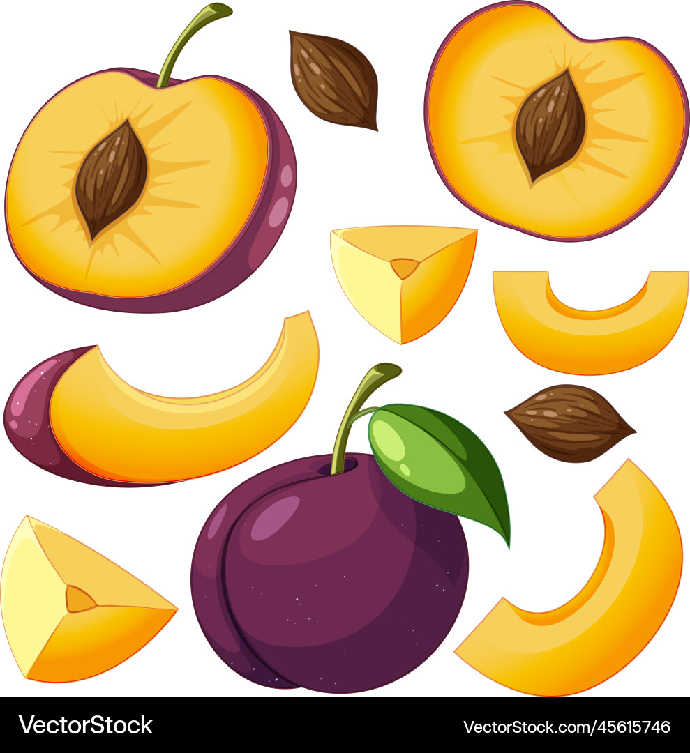 Set of plum fruit cartoon Royalty Free Vector Image