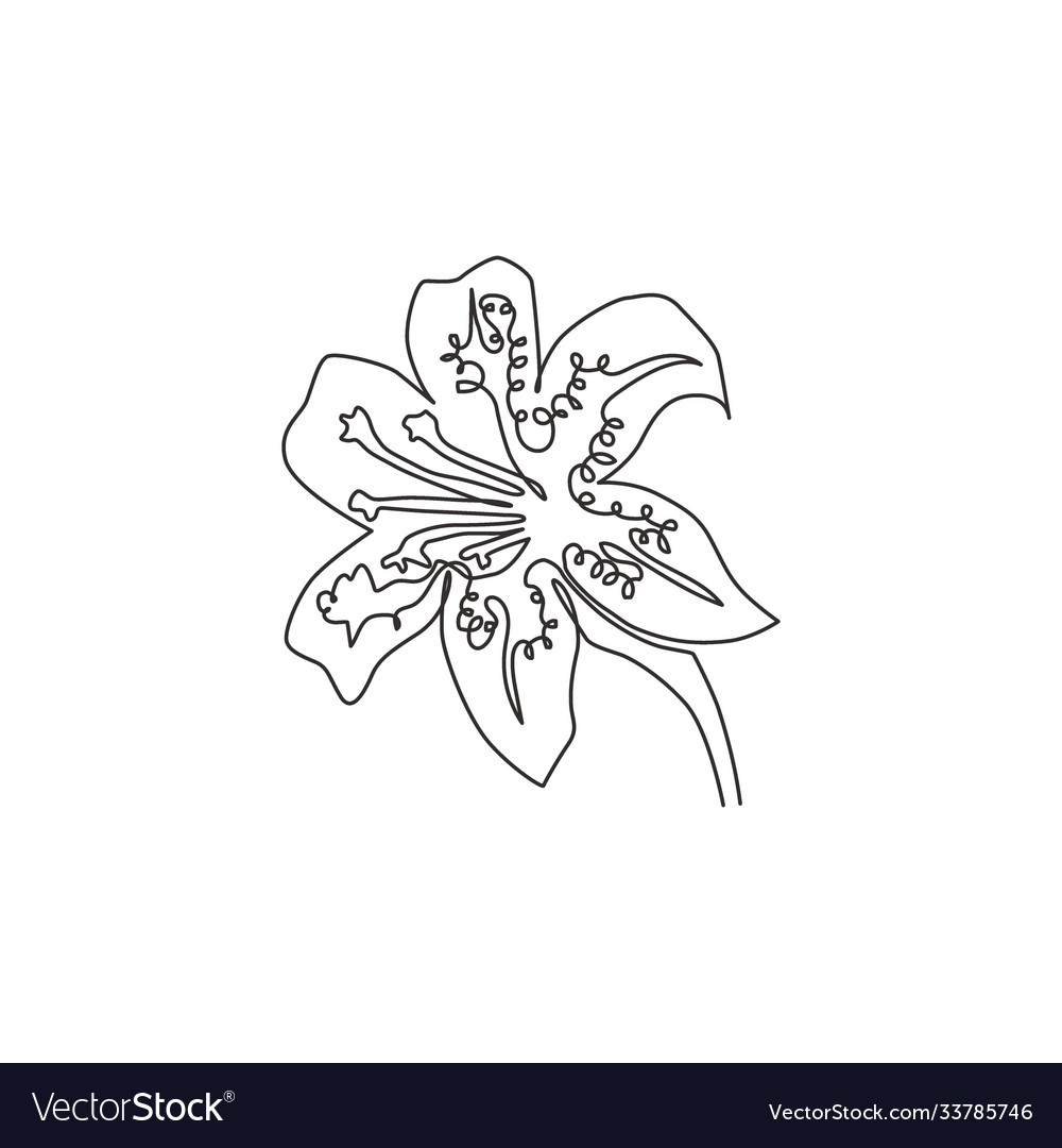 Single Continuous Line Drawing Beauty Lilium Vector Image