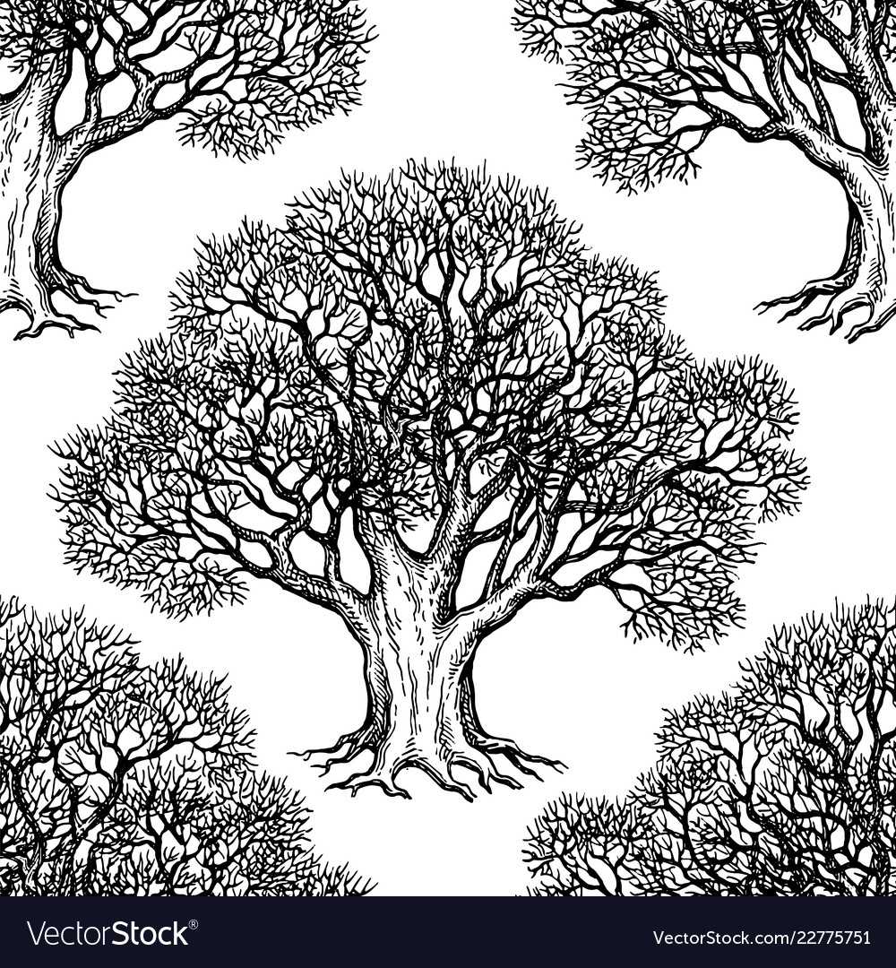 Seamless pattern with oak Royalty Free Vector Image