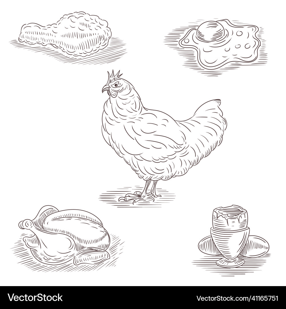 Set of hand drawings on chicken theme Royalty Free Vector