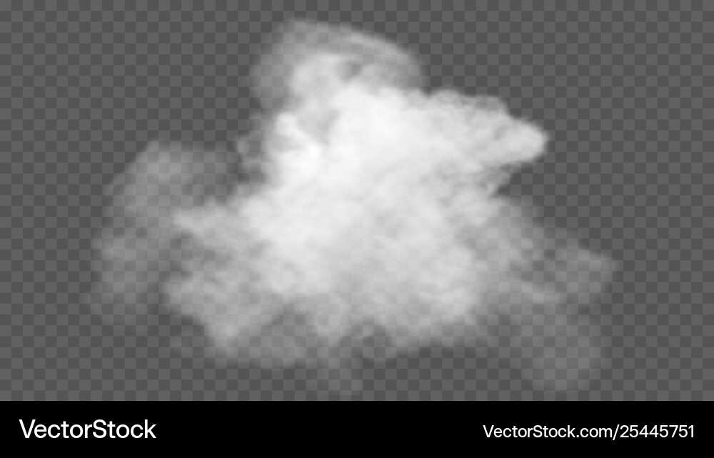 Transparent special effect stands out with fog Vector Image
