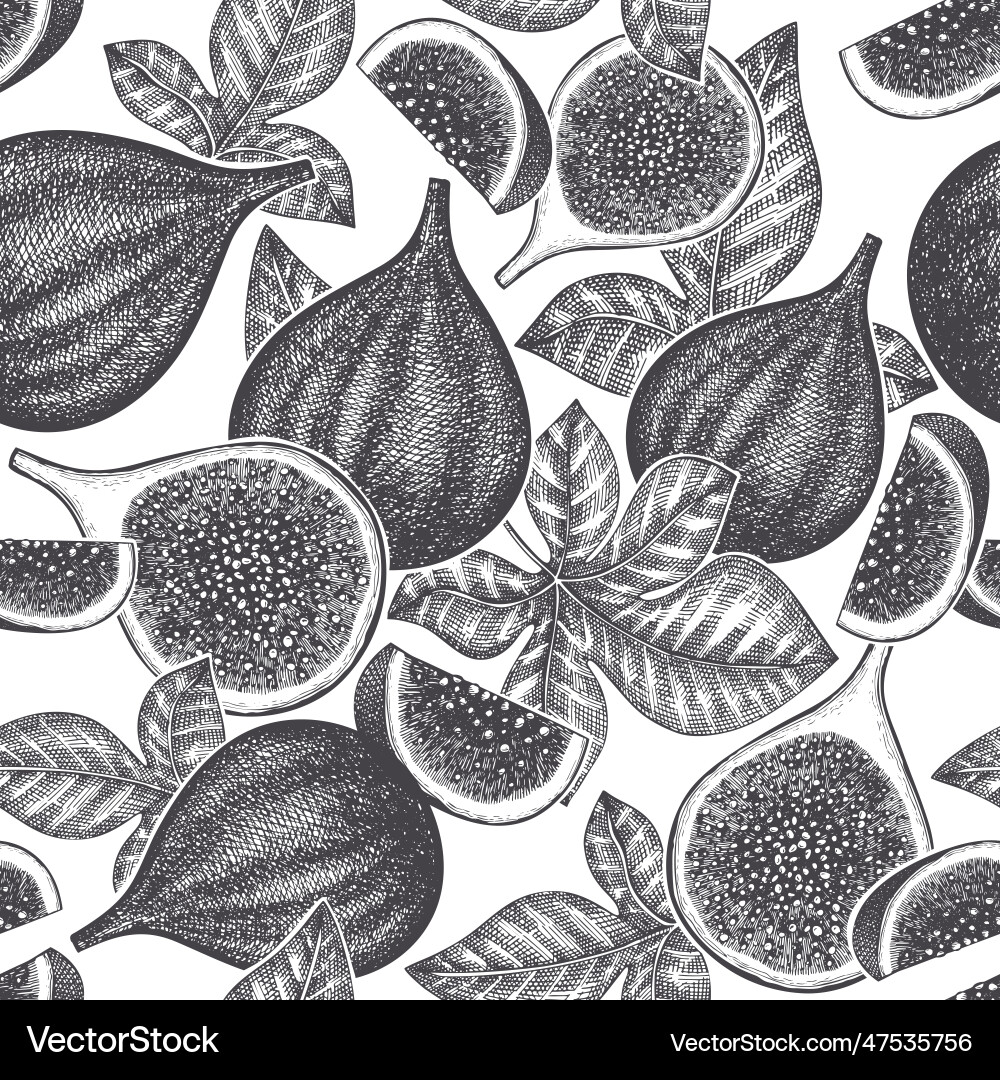 Hand drawn fig fruits seamless pattern organic Vector Image