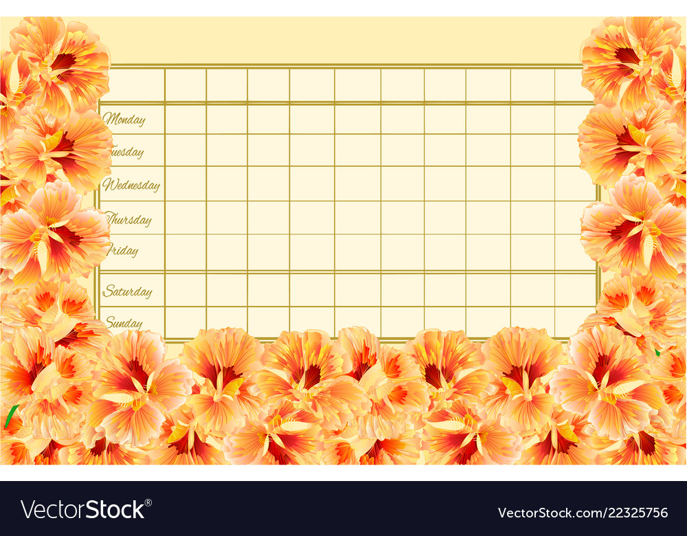 Timetable weekly schedule with spring flowers Vector Image