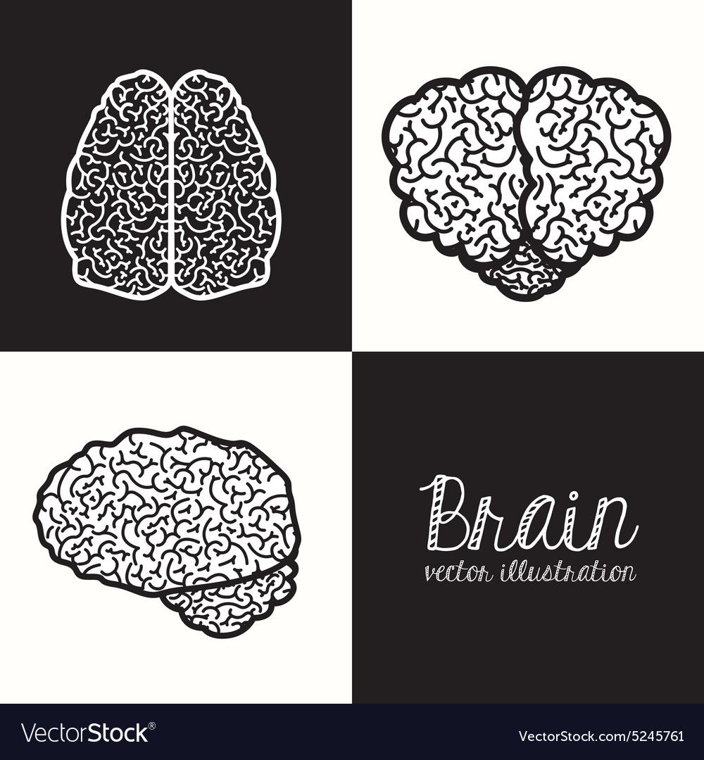 Brain design Royalty Free Vector Image - VectorStock