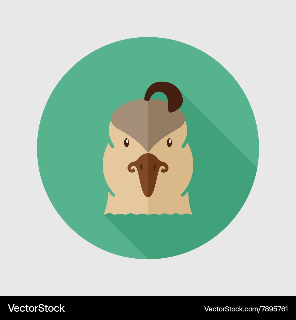 Quail flat icon animal head symbol Royalty Free Vector Image