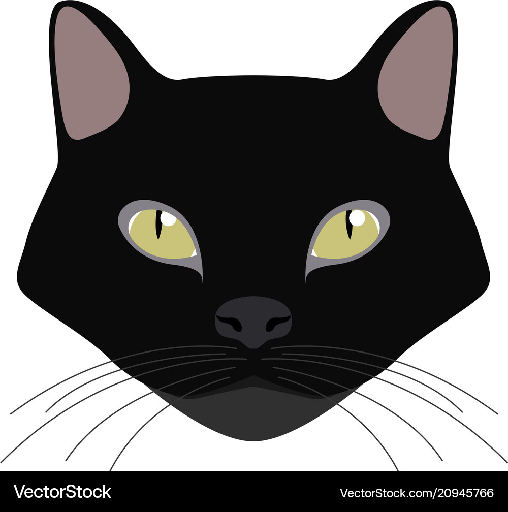 Bombay cat avatar breeds Royalty Free Vector Image