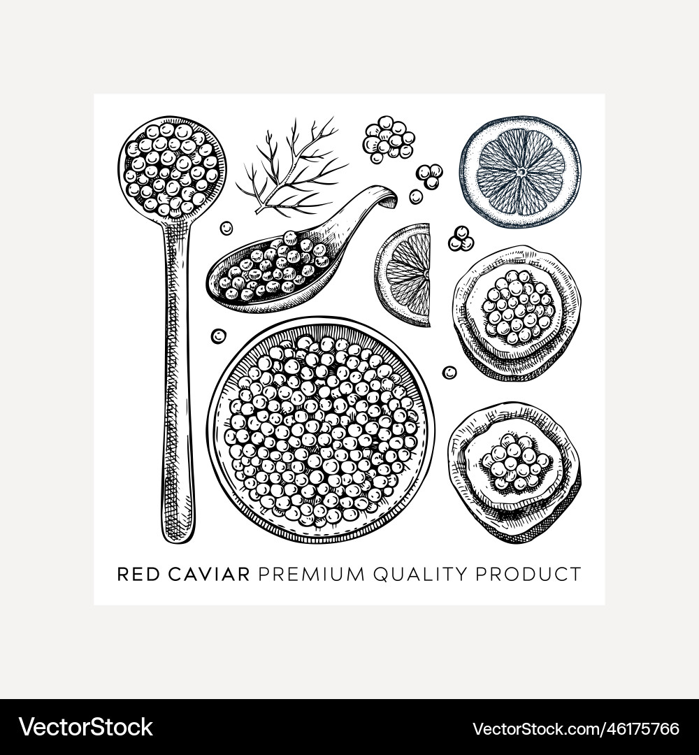 Hand-drawn red caviar sketches set isolated Vector Image