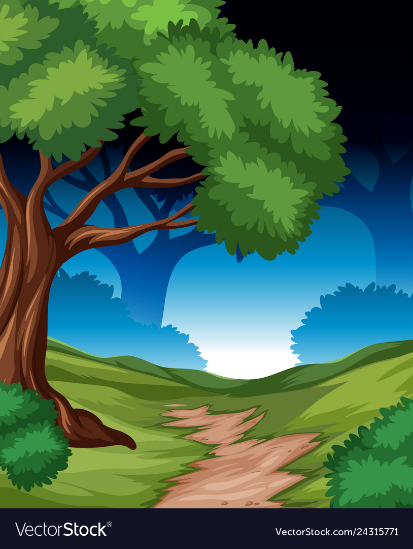 A tropical rainforest background Royalty Free Vector Image