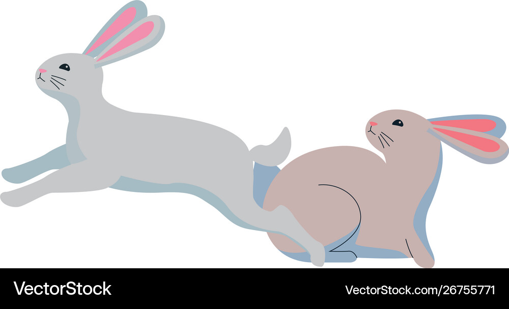 Cute two rabbits animals cartoons Royalty Free Vector Image
