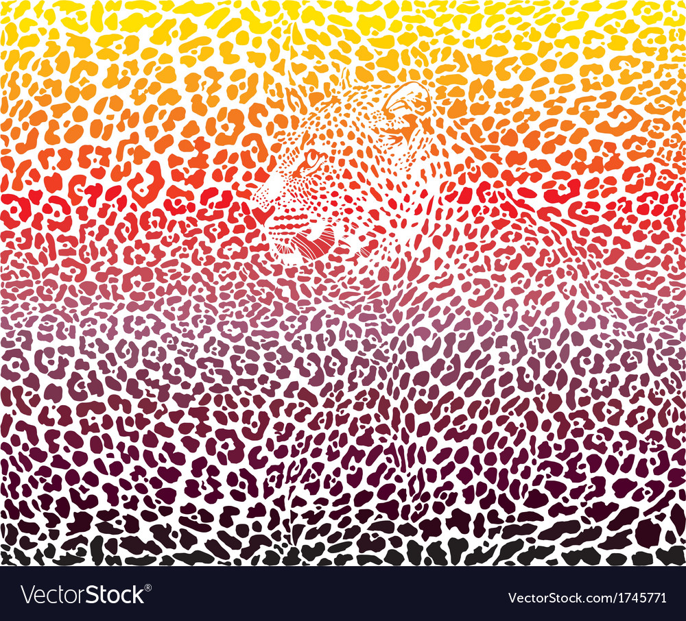 Leopard abstract background Royalty Free Vector Image