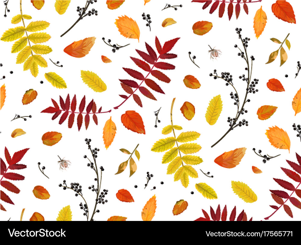 Seamless patten background floral watercolor Vector Image