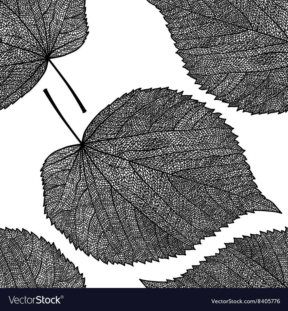 Leaf skeleton pattern Royalty Free Vector Image