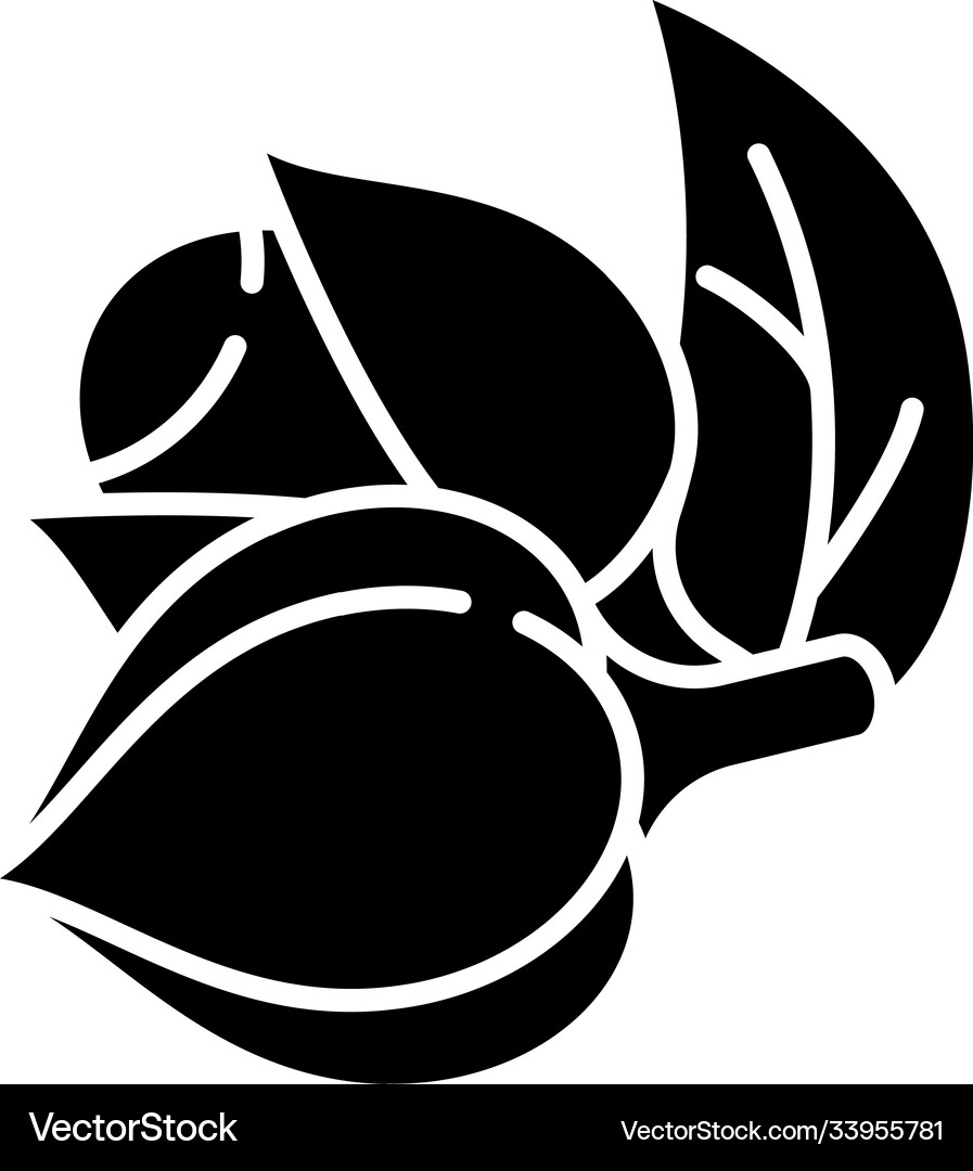 Guarana black glyph icon Royalty Free Vector Image