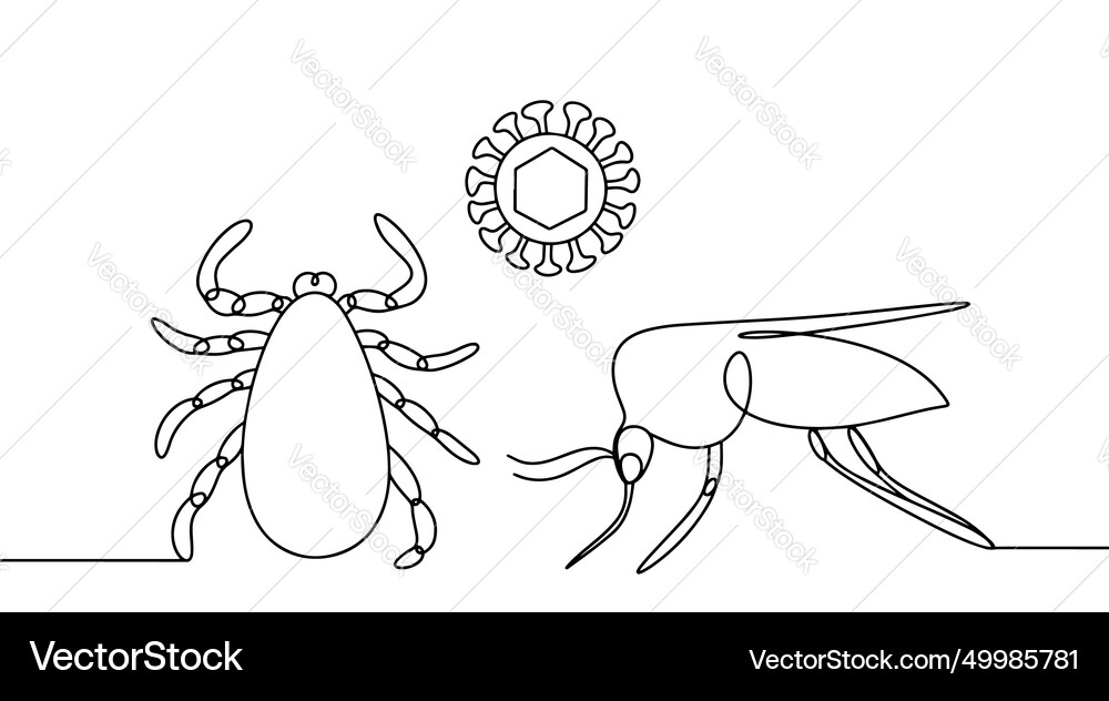 Mite mosquito encephalitis disease carrier Vector Image