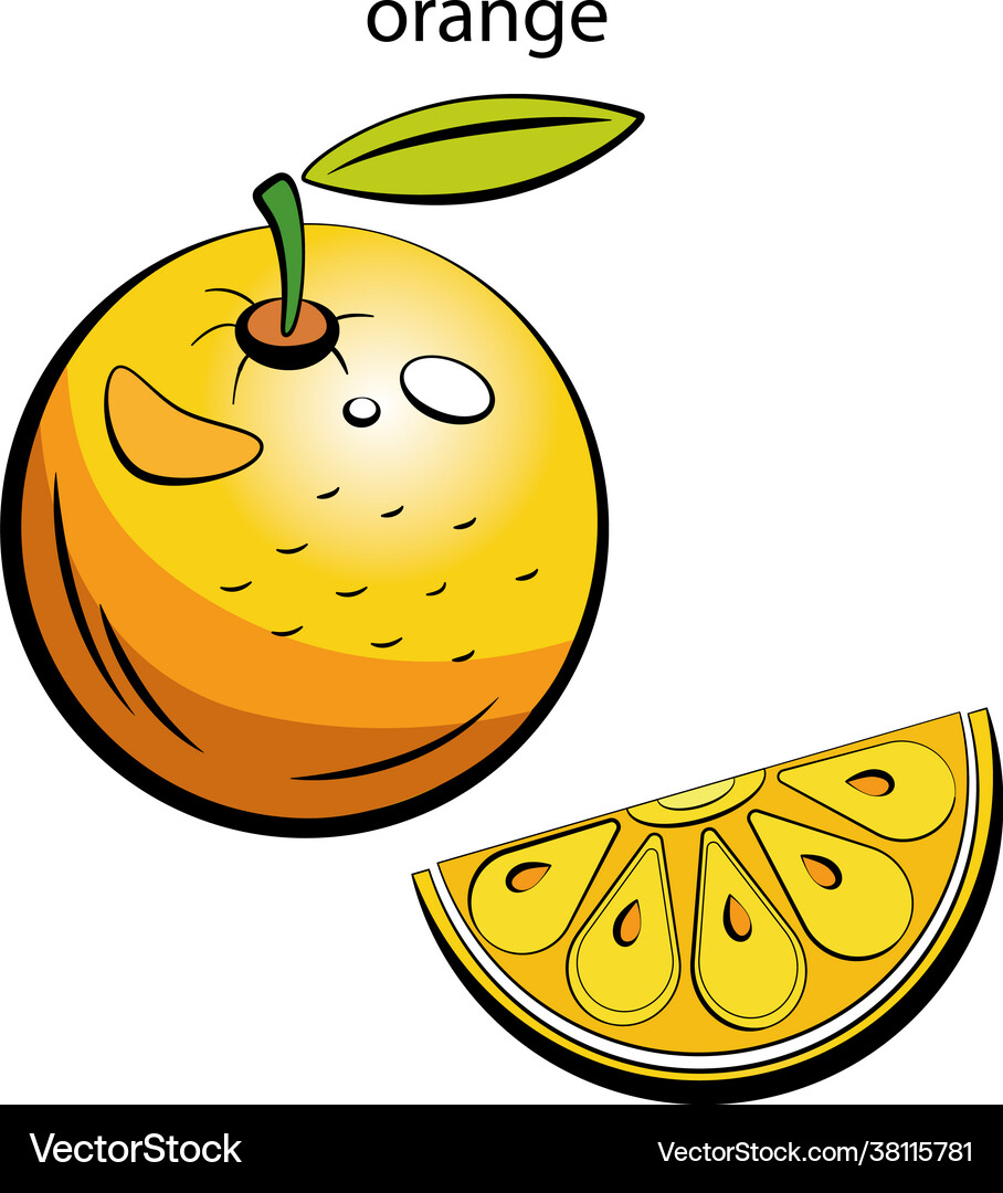 Orange Royalty Free Vector Image - VectorStock