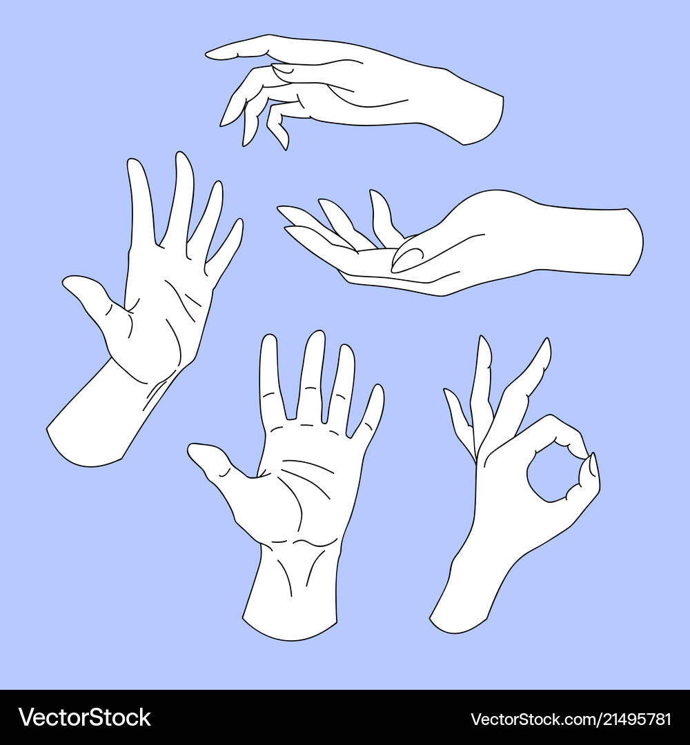 Set of hand drawn arms Royalty Free Vector Image