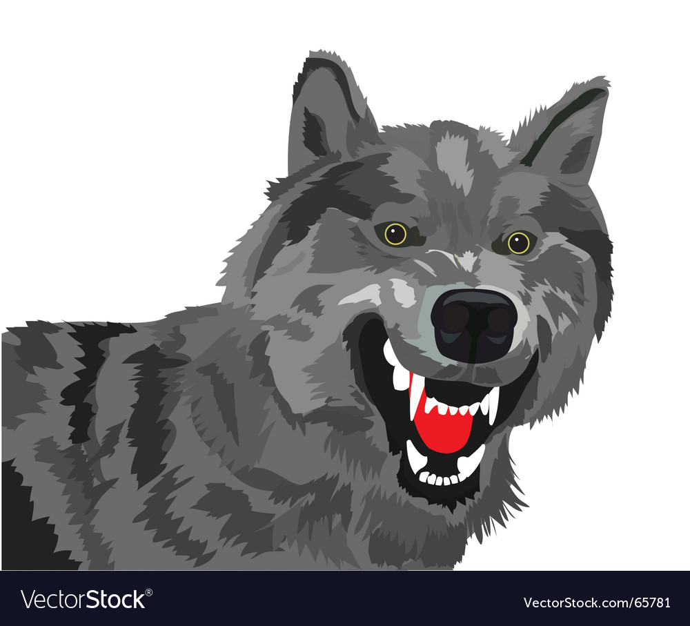 Wolf Royalty Free Vector Image - VectorStock