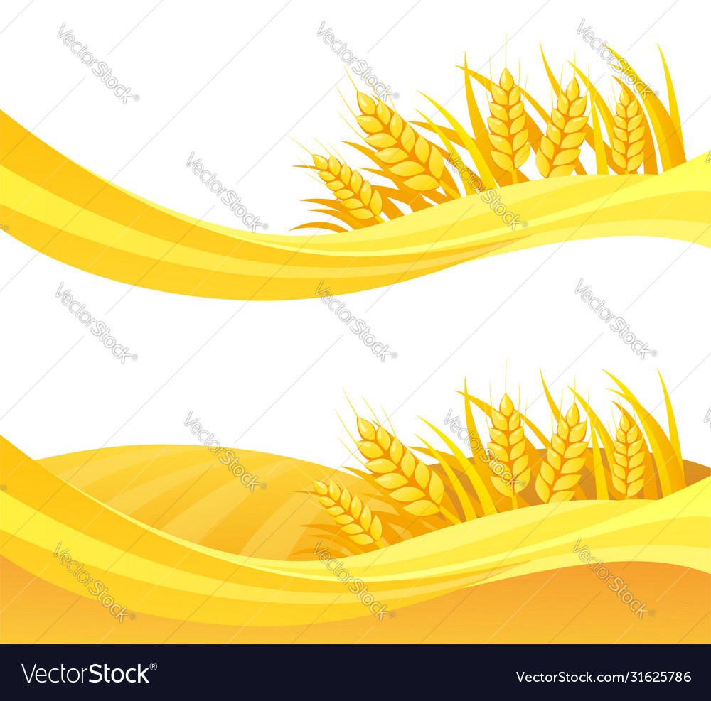Wheat design Royalty Free Vector Image - VectorStock