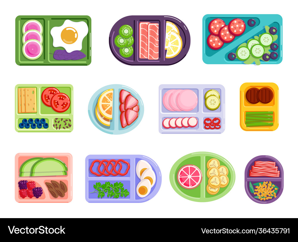 Balanced nourishment dividing sandwiches Vector Image