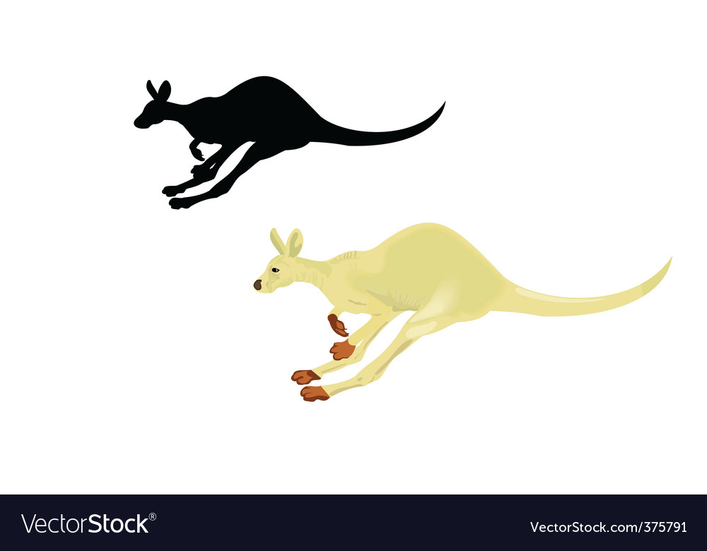 Kangaroo Royalty Free Vector Image - VectorStock