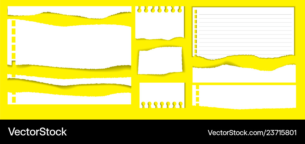Set of note book or ripped paper Royalty Free Vector Image