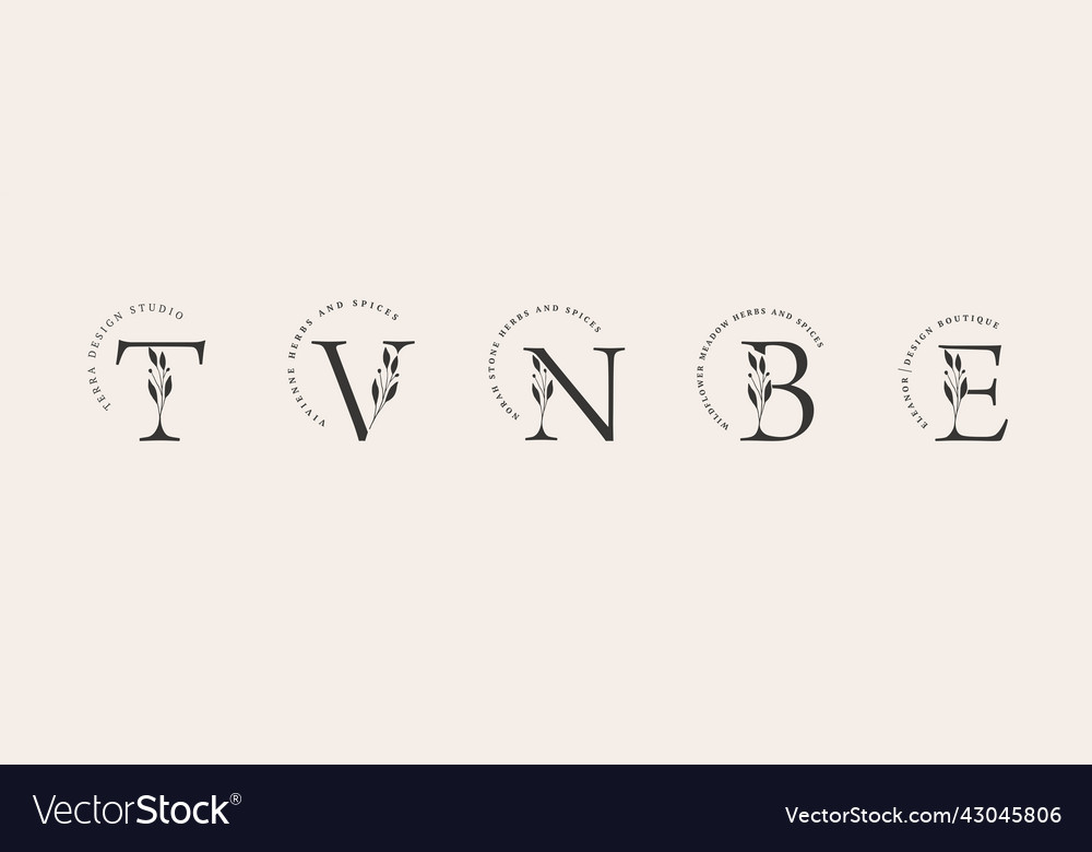 Collection Of Botanical Minimalistic Initial Vector Image