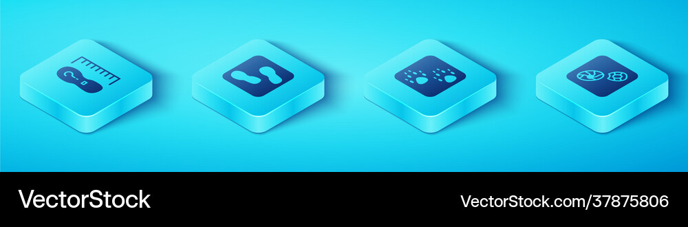 Set isometric square measure foot size human Vector Image