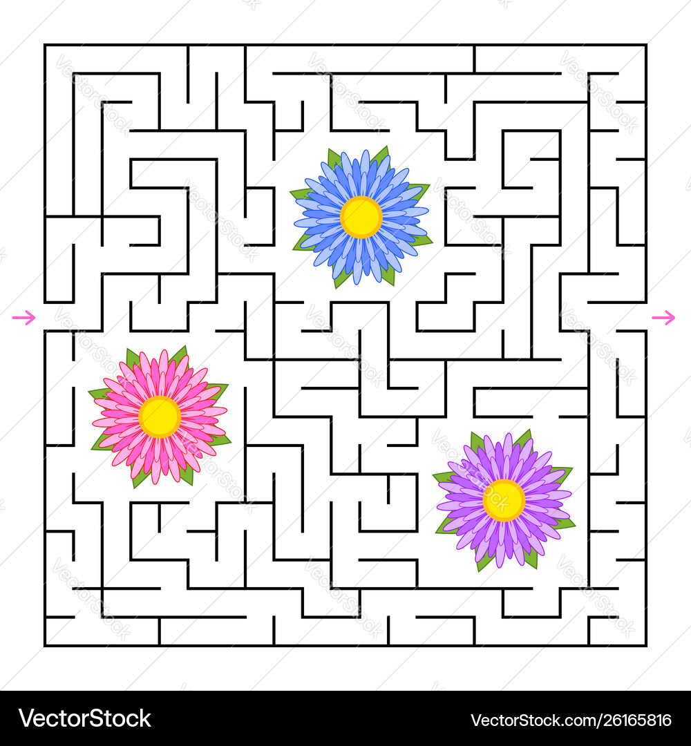 A square labyrinth collect all flowers Royalty Free Vector
