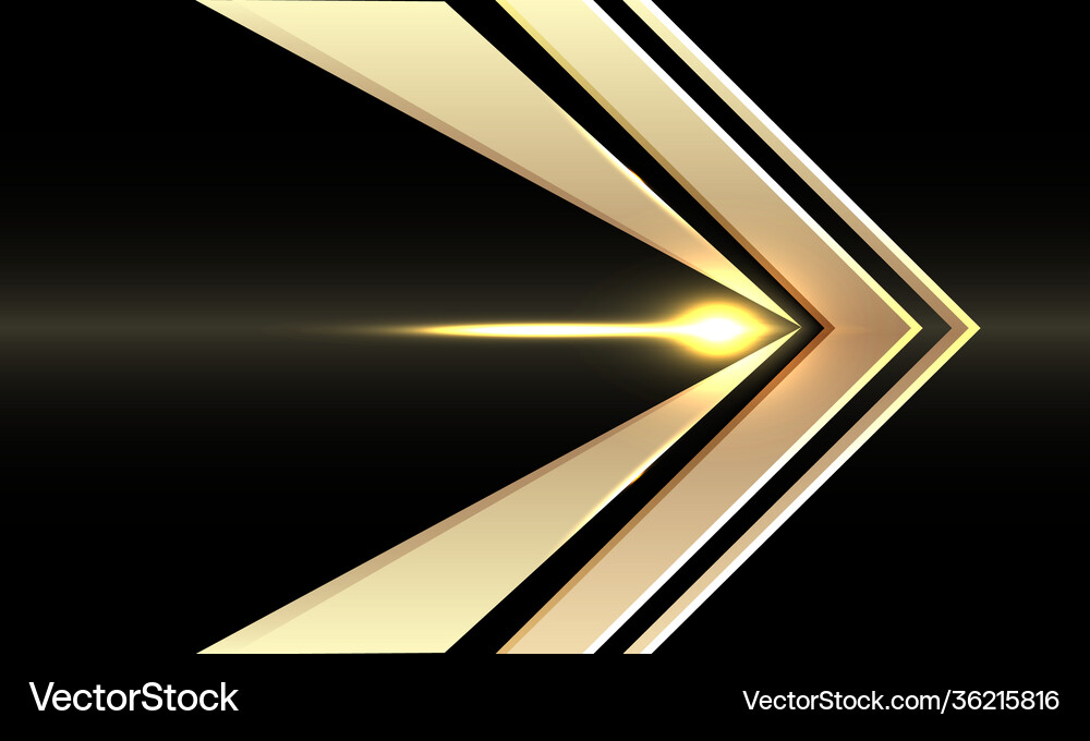 Abstract gold arrow speed direction on black Vector Image