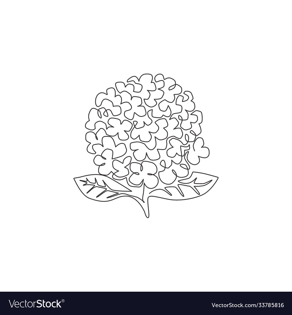 One Continuous Line Drawing Beauty Fresh Vector Image