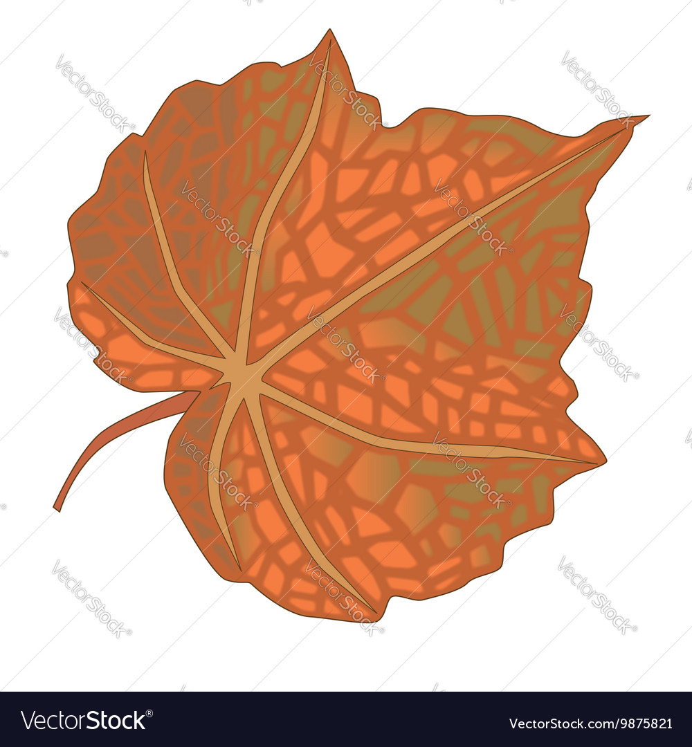 Autumn leaf Royalty Free Vector Image - VectorStock