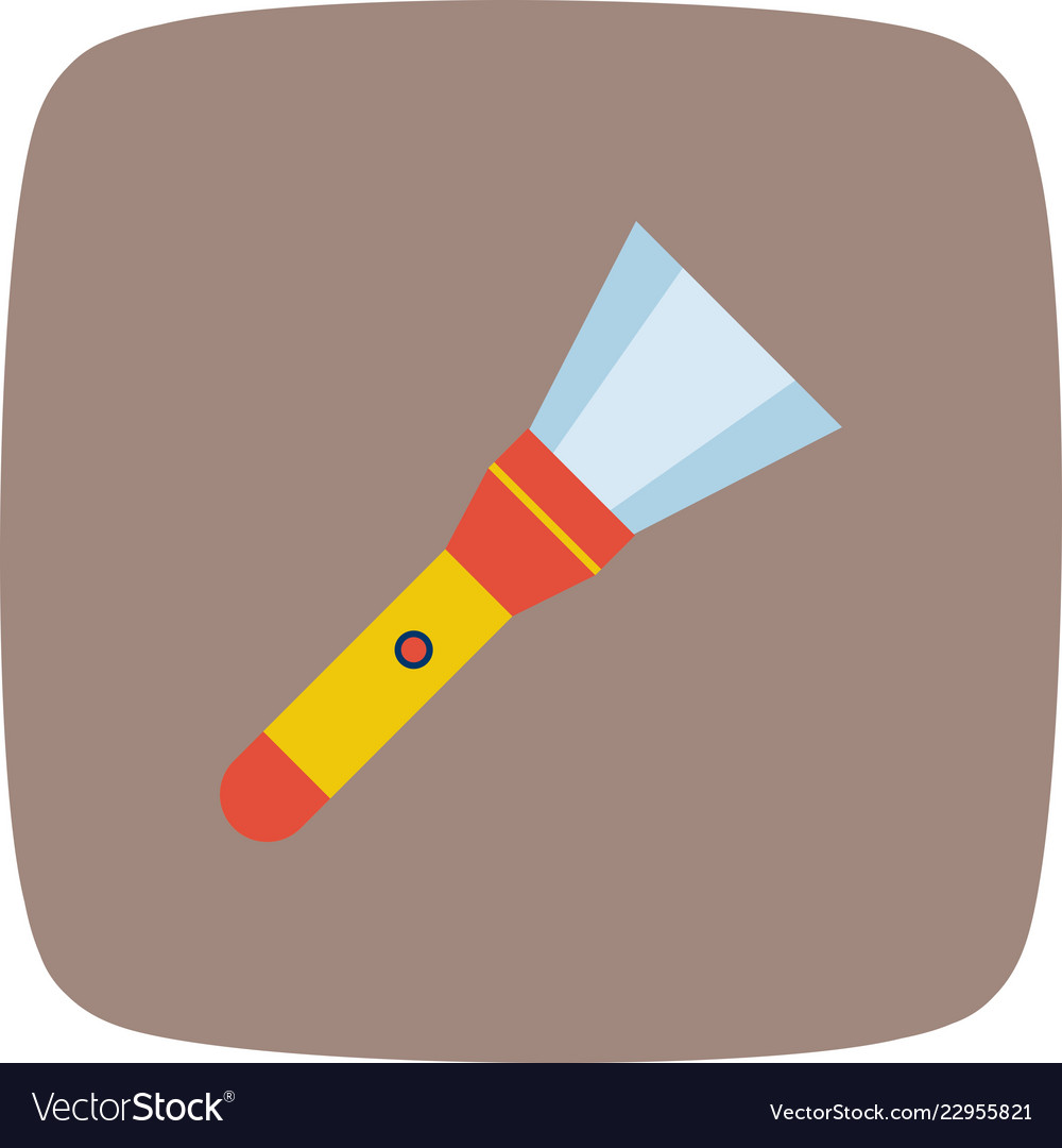 Flash icon Royalty Free Vector Image - VectorStock