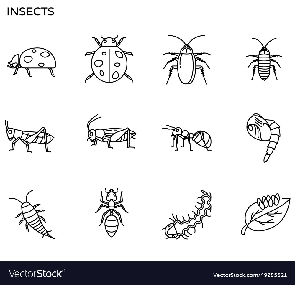 Insect icon Royalty Free Vector Image - VectorStock