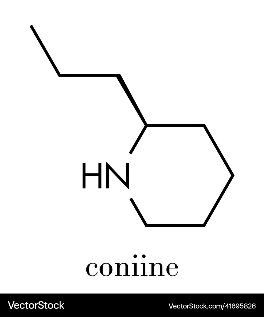 Coniine herbal toxin molecule present in poison Vector Image