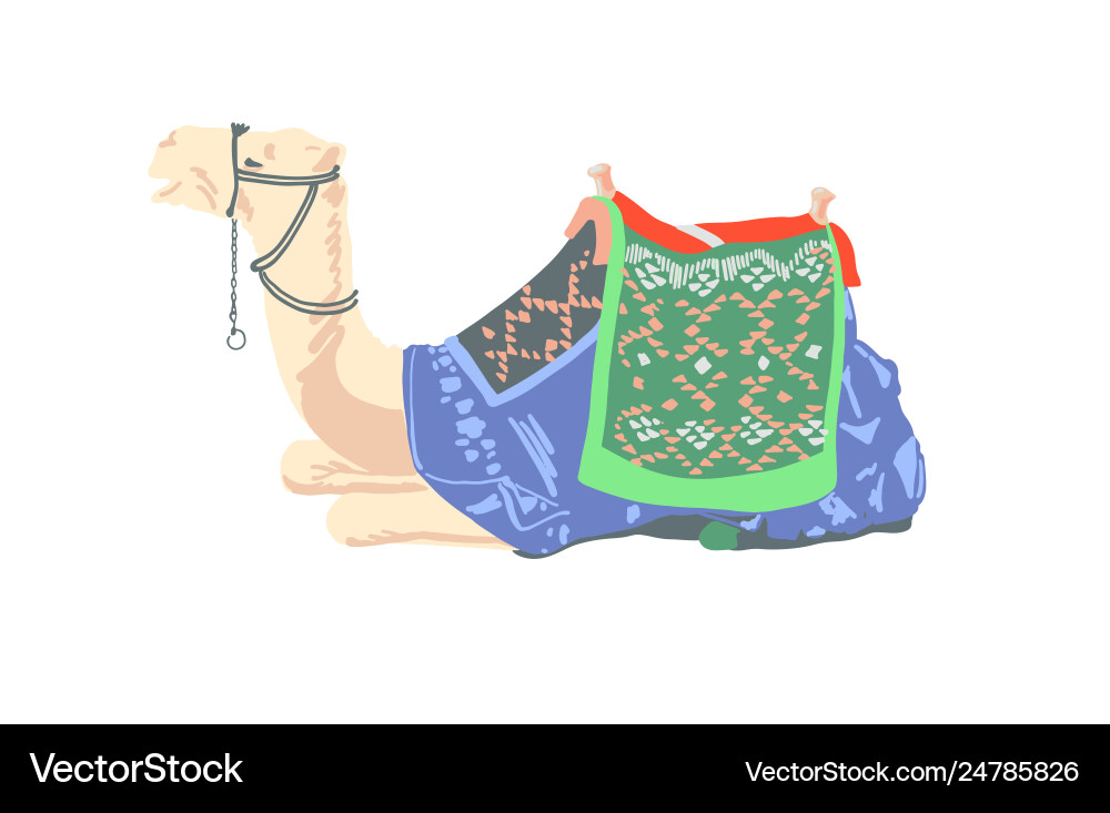 Egyptian camel decorated with bright carpets Vector Image