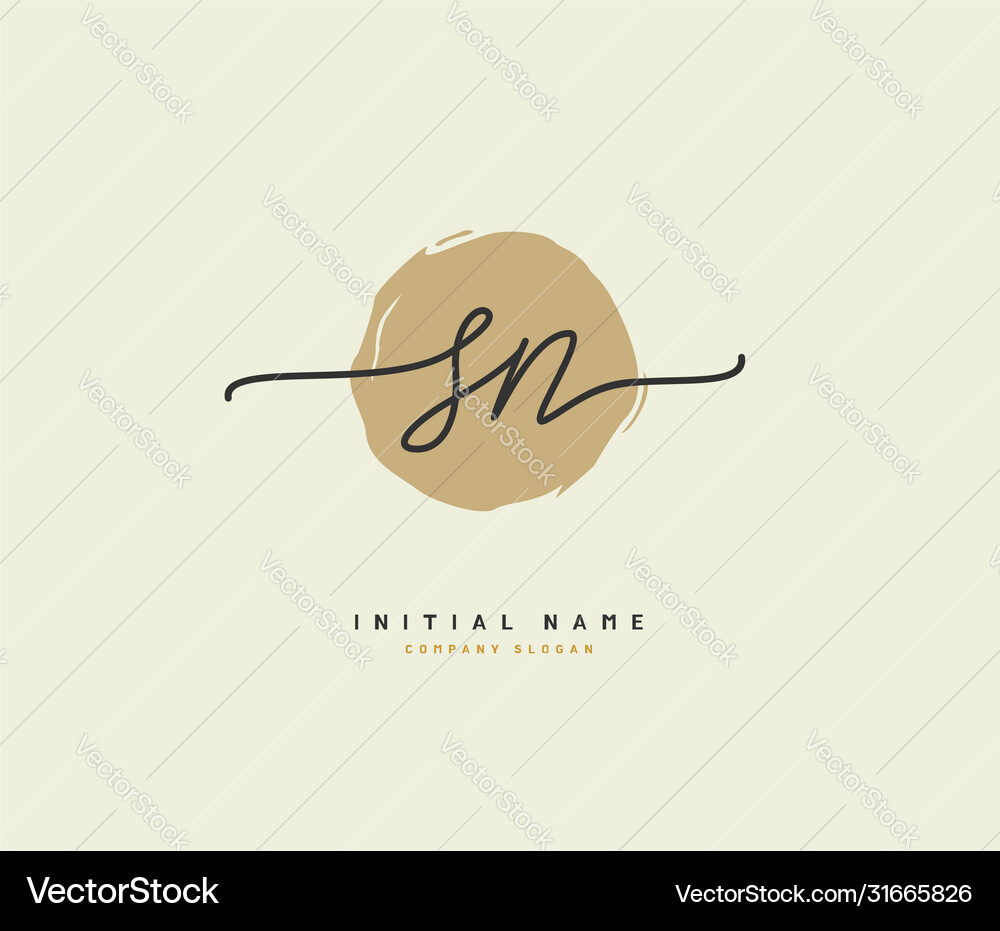 S n sn beauty initial logo handwriting logo Vector Image