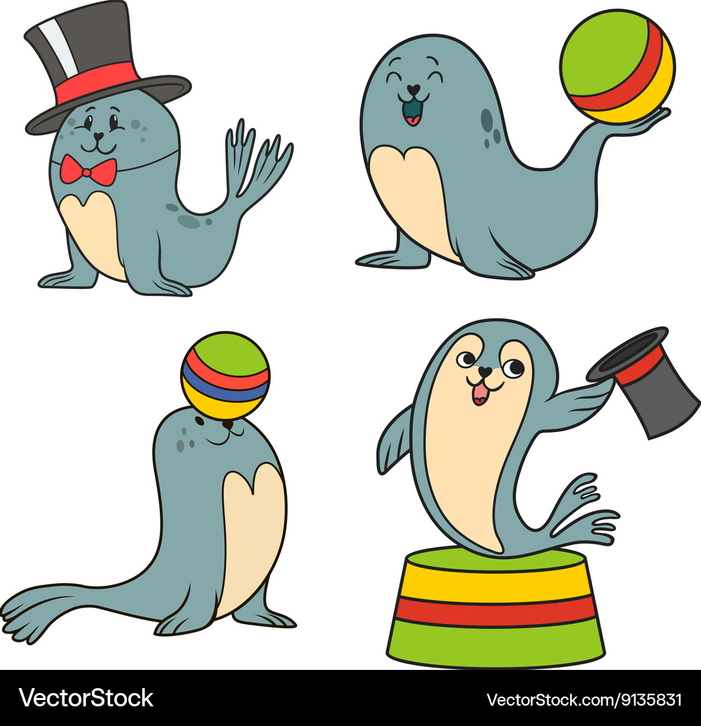 Circus seals Royalty Free Vector Image - VectorStock